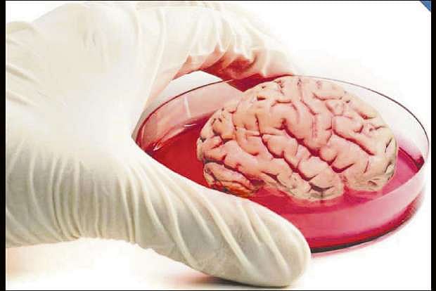 Tiny robotic thread can slip through brain's blood vessels