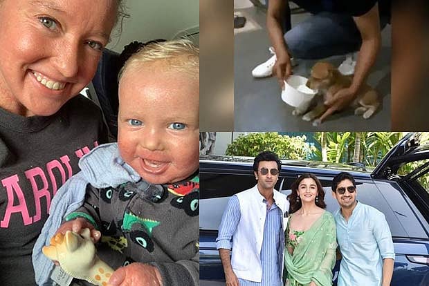 Trending in TN: Cricketer saves puppy in distress, mom son duo denied ...