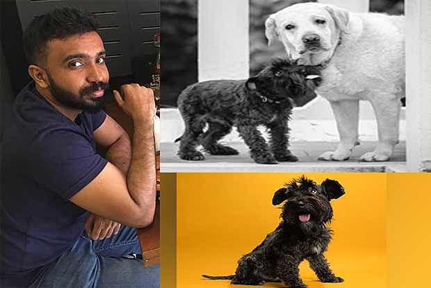 Pawsome Pets: This dog keeps his human companion on his toes