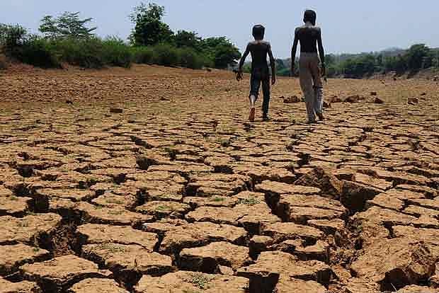 Northeast monsoon failure: State declares 24 districts drought-hit