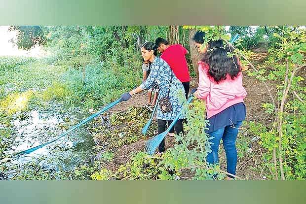 Volunteers cheer as clean-up drives reduce waste in Selaiyur lake