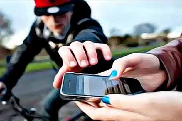 Snatcher thrashed by public