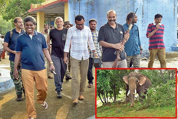 Kumki trio joins foresters to trap wild tusker