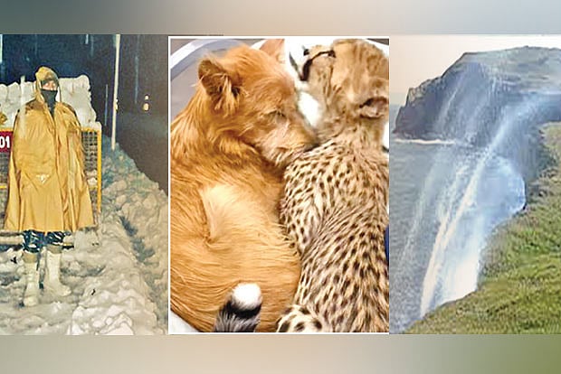 Trending in TN: Duty-bound jawan, gravity-defying waterfalls and dog ...