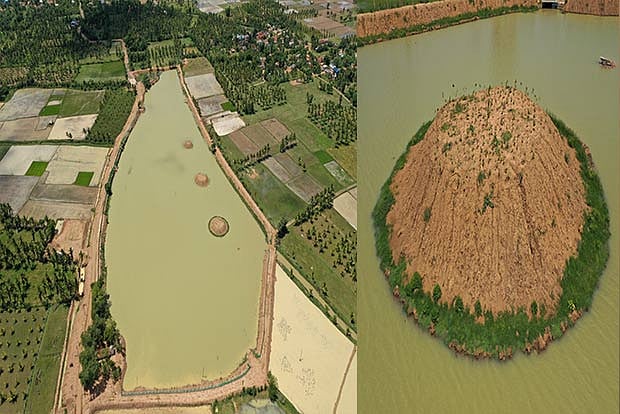 Miyawaki method: Thanjai youth transform lake