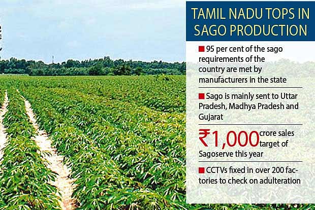 Sago through PDS: Farmers upbeat