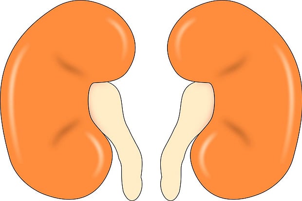 Chronic kidney disease killing over 1mn people worldwide