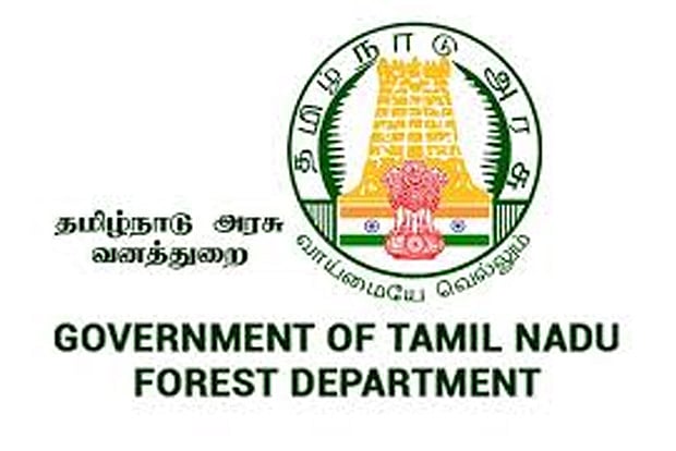 685 lives lost in human-animal conflicts in Tamil Nadu