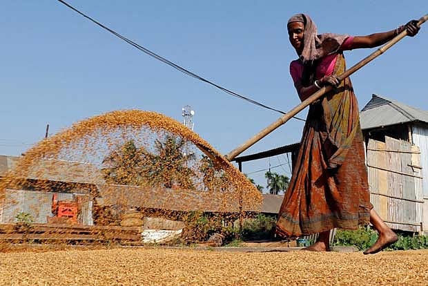 Rural demand is expected to recover gradually from March