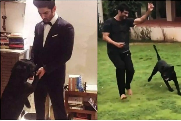 Sushant's dog Fudge is now with late actor's family in Patna