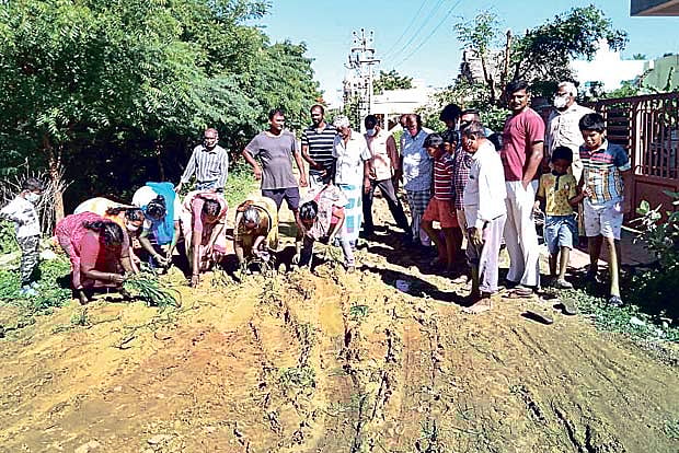 Thanjavur residents resort to sapling planting protest seeking repair ...