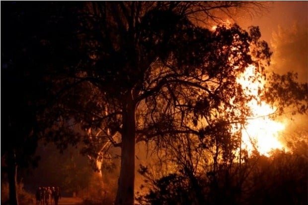 Hundreds evacuated by sea from island as Greek wildfires rage