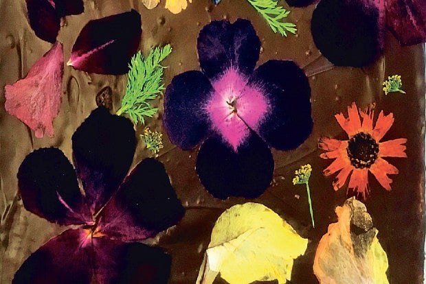 City home chef comes up with pressed flower brownies