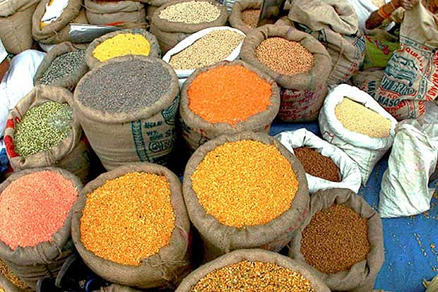 Food Sciences: Pulses - More than just a meat alternative