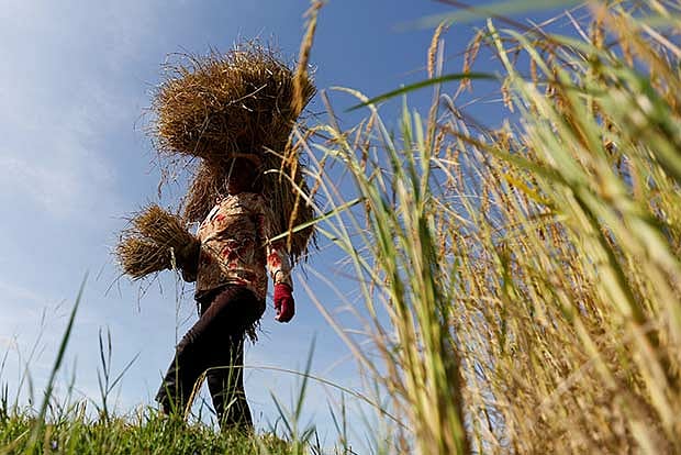 TN farmers observe black day in solidarity with protesters