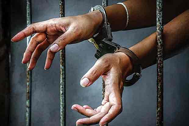 Farmer arrested for killing 6 peacocks with poisoned grain near Tirupattur