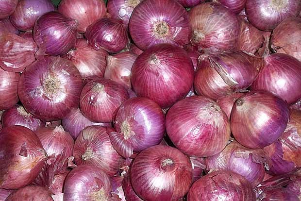 Onion prices dip below Rs 10 per kg, lowest level in this fiscal so far