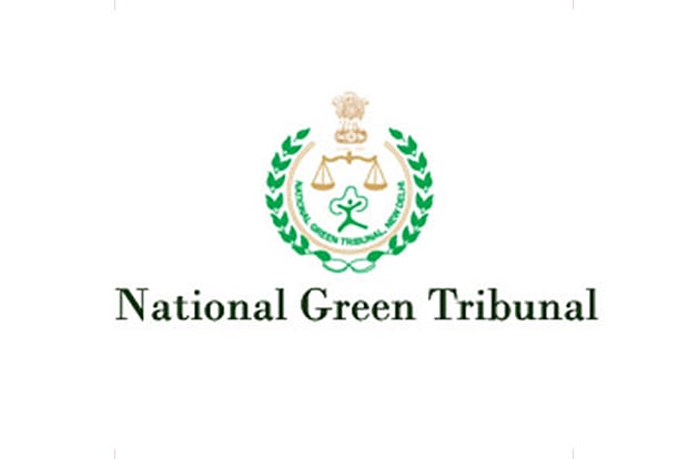 NGT to hold global meet on environmental issues