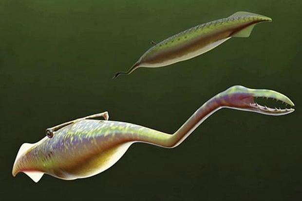 Million-year old mystery of Tully Monster solved finally