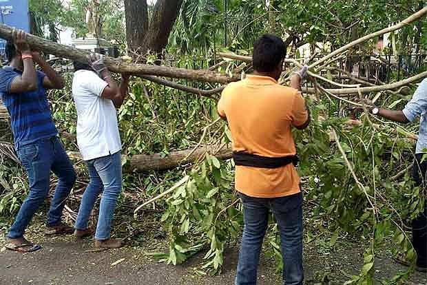 Volunteers in full force to clear debris, replant trees