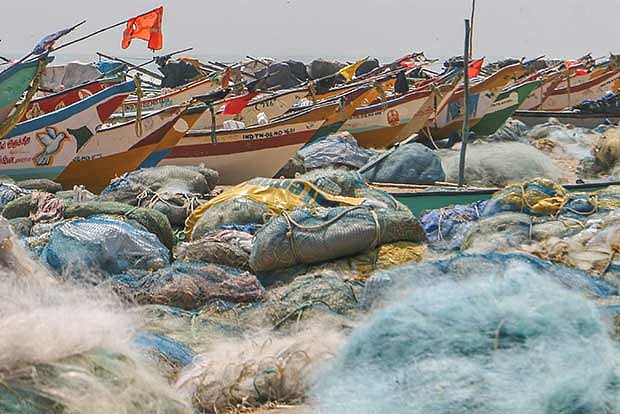 Ban(e) of livelihood