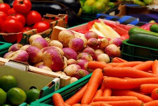 Australian scientists launch app to tackle vegetable aversion