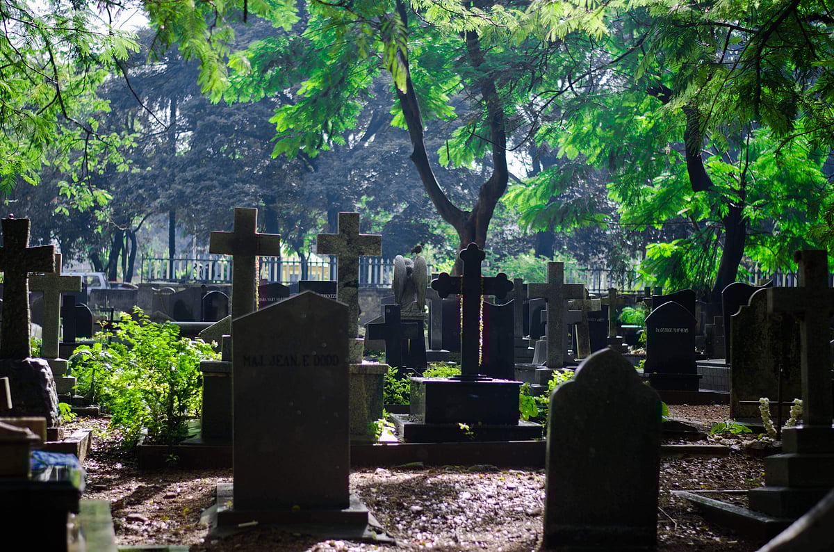 Looking for peace in dead? Ever heard of what Taphophile is?