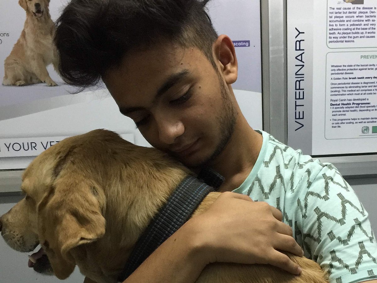 Dogs best friend Zabi Khan - This animal rights activist rescued 3,000 ...
