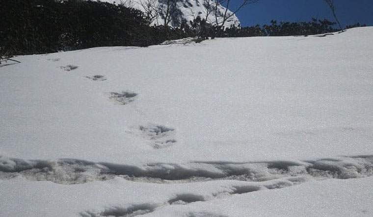 Indian Army team spots 'Yeti' footprints on Himalayas: Everything you ...