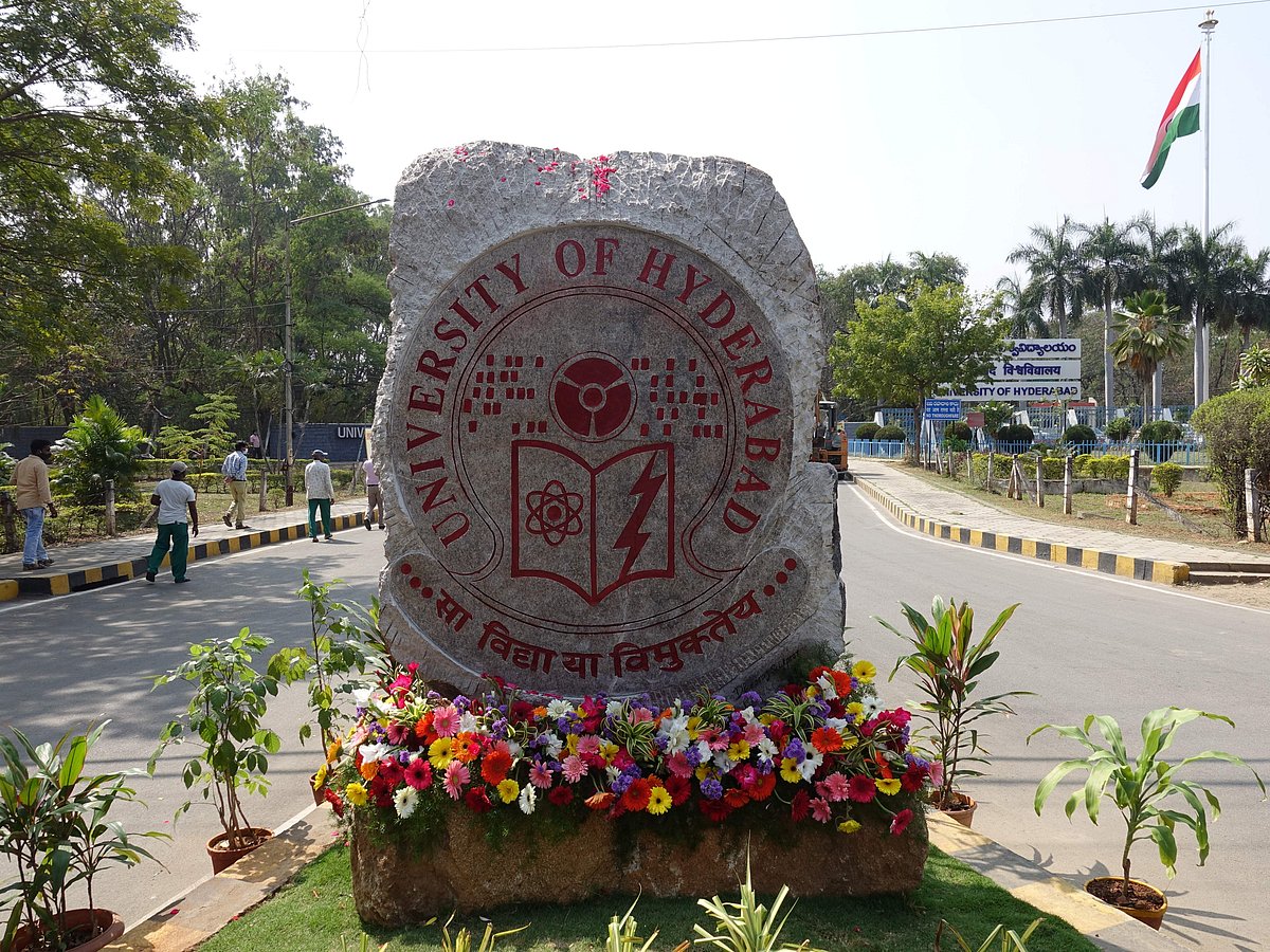 UoH inaugurates natural rock sculpted by Fine Arts alumni at university ...