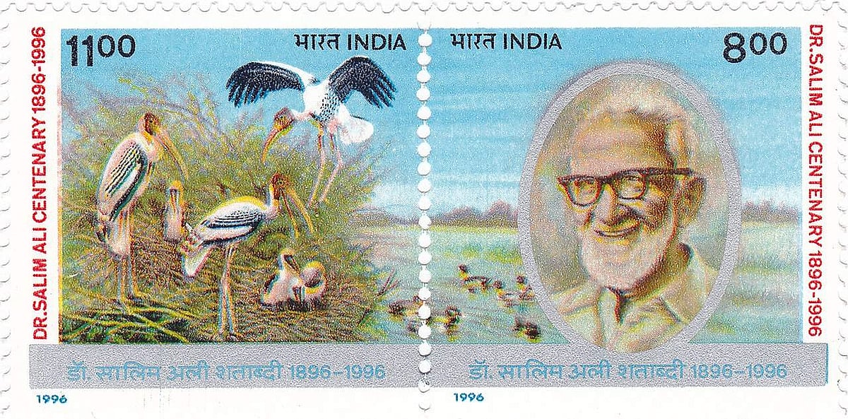 On his 125th birth anniversary, Ornithologist Salim Ali's forgotten ...