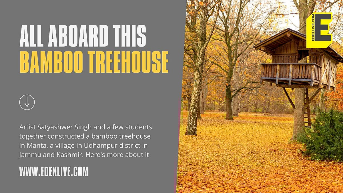 Up above the world so high: A bamboo treehouse in this J&K village ...