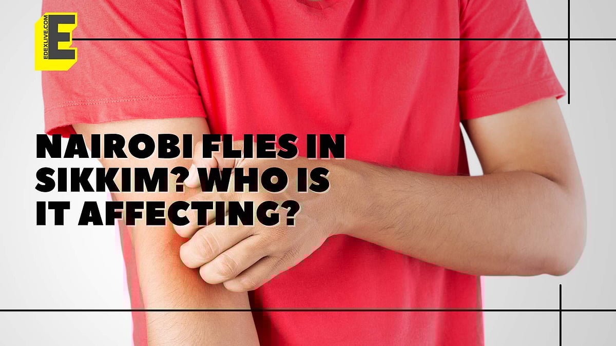 'Nairobi flies' land Sikkim college students in trouble. Students ...