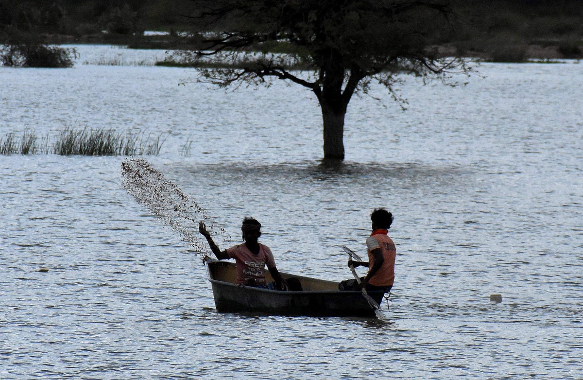 Karnataka: Fish in Midday meals? Might help with protein intake & local ...