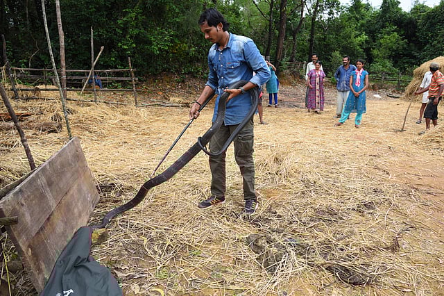 Ajay Giri is leaving no stone unturned to preserve the biodiversity of ...