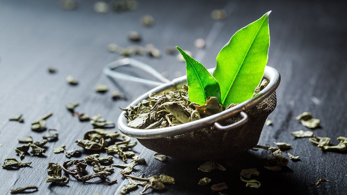 Tea in different country : চা নিয়ে অবসেশন রয়েছে? দুধ-লিকার টি ছাড়াও ...