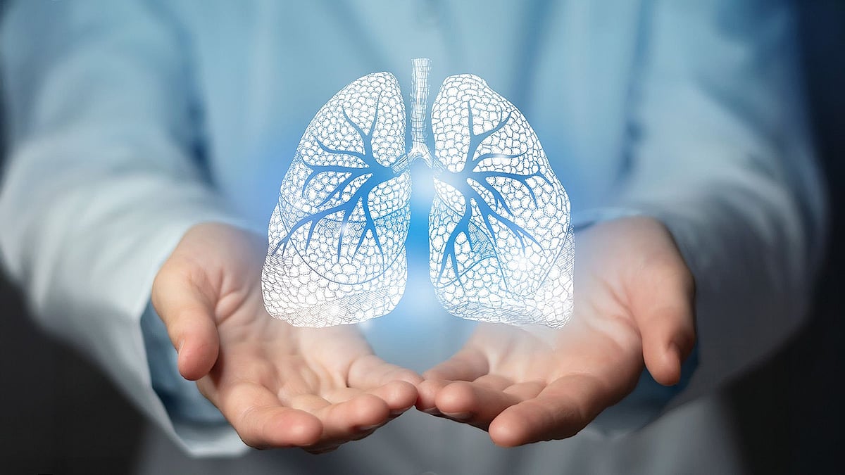 good for lungs : দূষণের হাত থেকে ফুসফুসকে বাঁচাতে চান? জানুন কী খাবেন