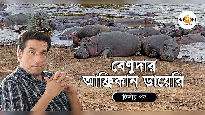 Tanzania Safari,কেনিয়ার পর কেমন অভিজ্ঞতা হল তানজ়ানিয়ায়? আফ্রিকার ...
