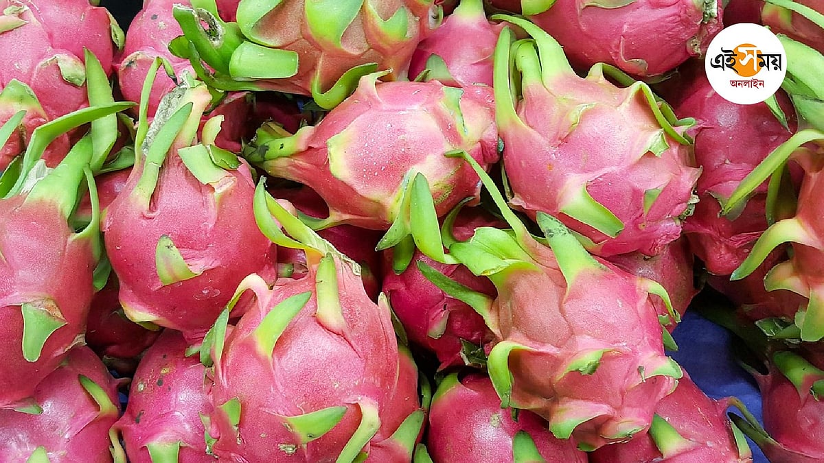 বাল্বের আলোয় ড্রাগন ‘পুষে’ কোটিপতি ইউটিউবার কৃষক