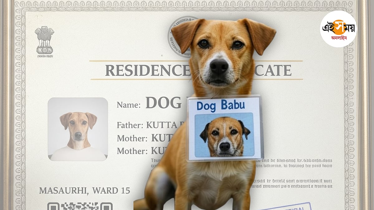 Bihar Dog Babu: ‘কুত্তা বাবু’র ছেলে ‘ডগ বাবু’ বিহারের বৈধ ভোটার! রয়েছে ...