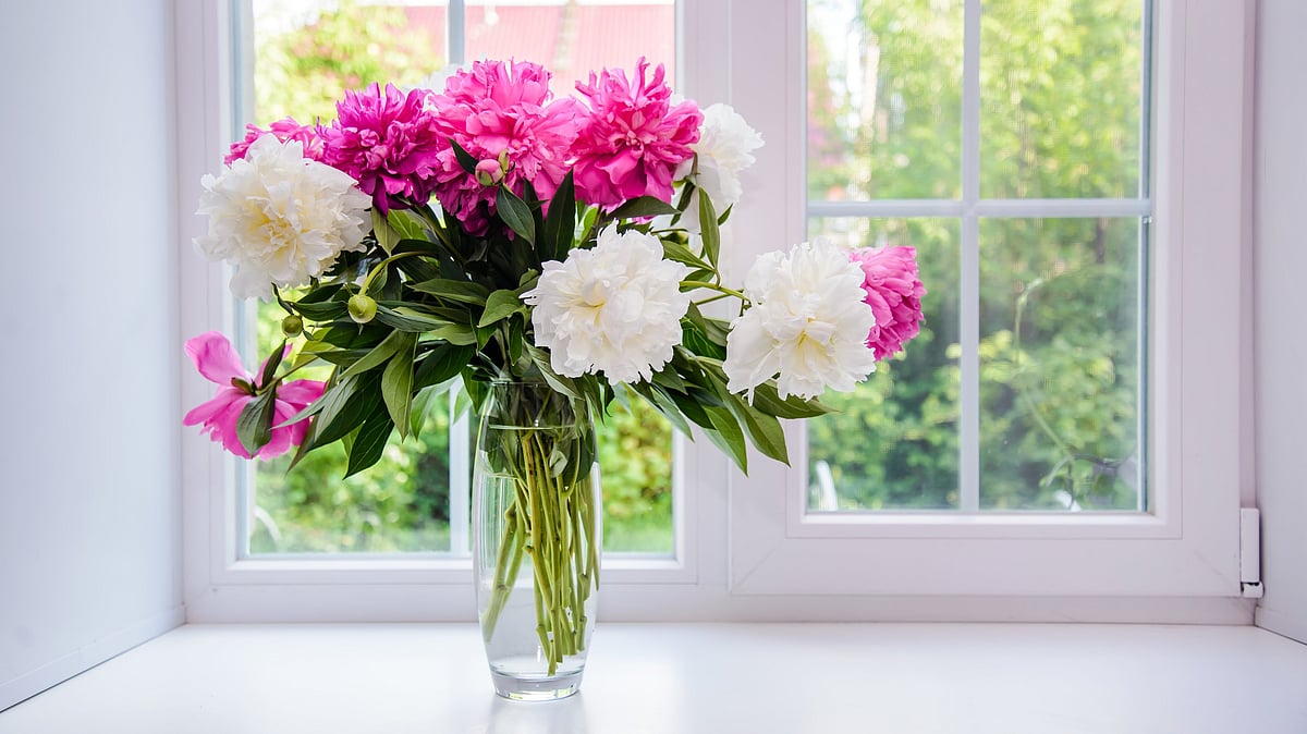 flower bouquet: ফুলদানির জলে মিশিয়ে দিন এই উপাদান, ৭ দিনের পরেও টাটকা ...