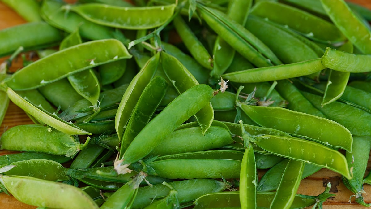 Healthy Zero-Waste Recipes Using Pea Peels