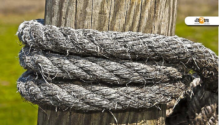 TikTok,টিকটকের হানা মালদায়? বেঘোরে প্রাণ হারাল তরুণ - westbengal news ...