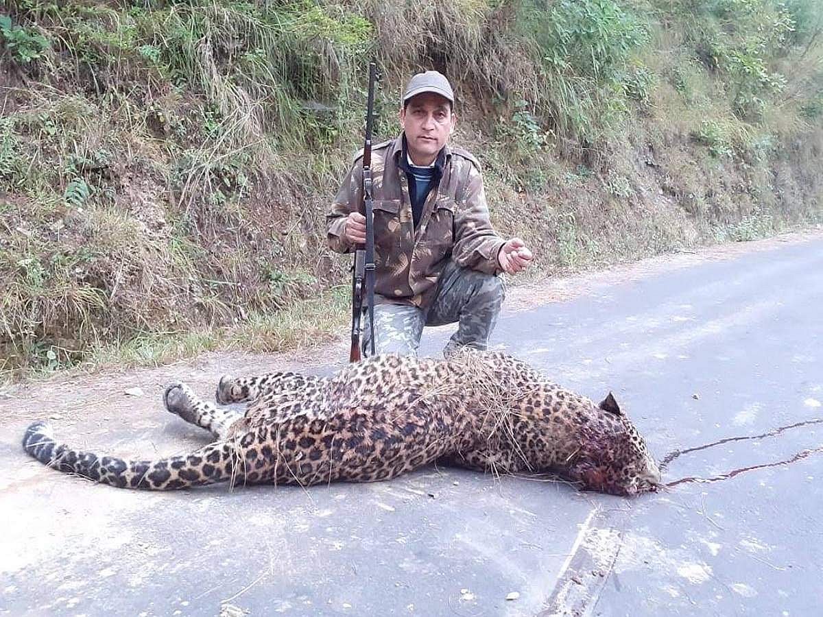 Man-eater Leopard,উত্তরাখণ্ডে গুলি করে মারা হল 'মানুষখেকো' চিতাবাঘকে ...