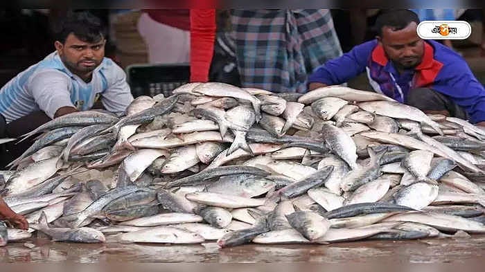 Ilish Fish Price : ২ কেজি ইলিশের দাম ৫০০০, দাম শুনে বেজার মুখে ফিরছেন ...
