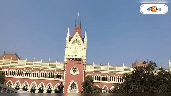 Calcutta High Court : পর্ষদের ডিএলএড-এ ভর্তি সংক্রান্ত বিজ্ঞপ্তিতে ...
