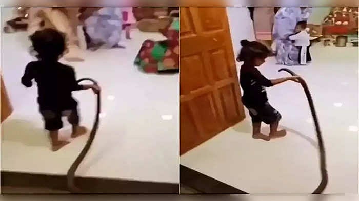 Child Play with Snake Viral: সাপ না খেলনা বোঝার উপায় নেই! ভয়ে ...