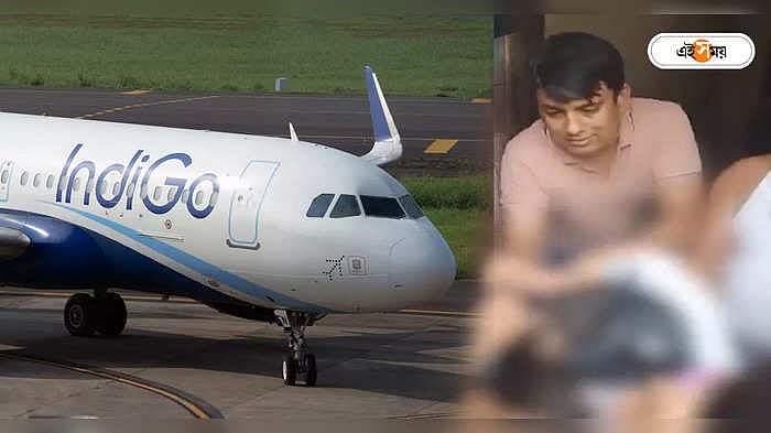 Delhi Incident : নাবালিকা পরিচারিকাকে হেনস্থা, ইন্ডিগো বিমানকর্মী ...