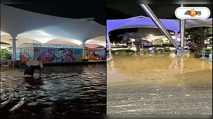 Gujrat Rain : ভাসছে আহমেদাবাদ বিমানবন্দর, প্যান্ট গুটিয়ে জল ঠেলে বিমান ...