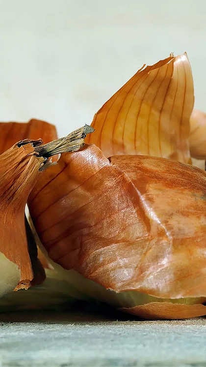 Onion Peel Health Benefits,পেঁয়াজের খোসা ফেলে দেন? সঙ্গে ফেলছেন এত ...